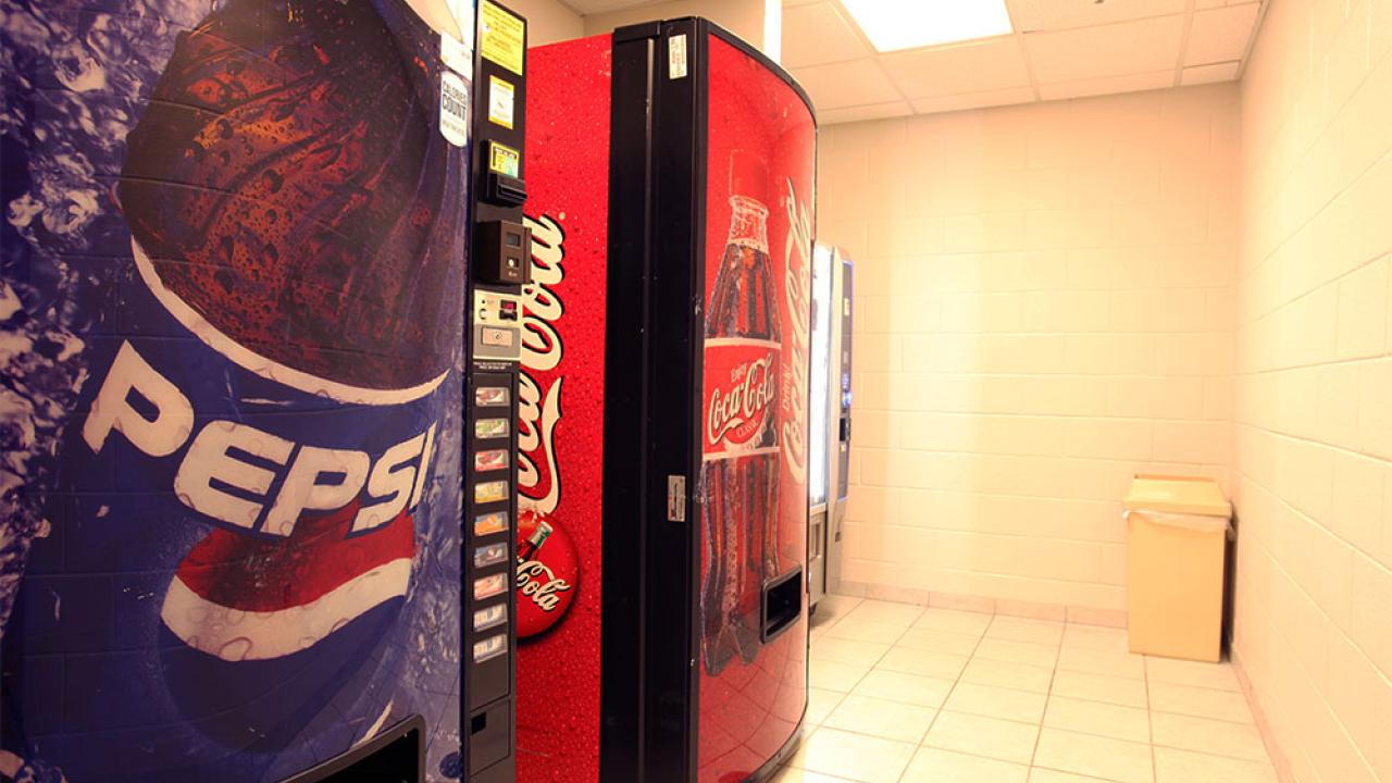 Wallis Hall | Housing and Residence Life